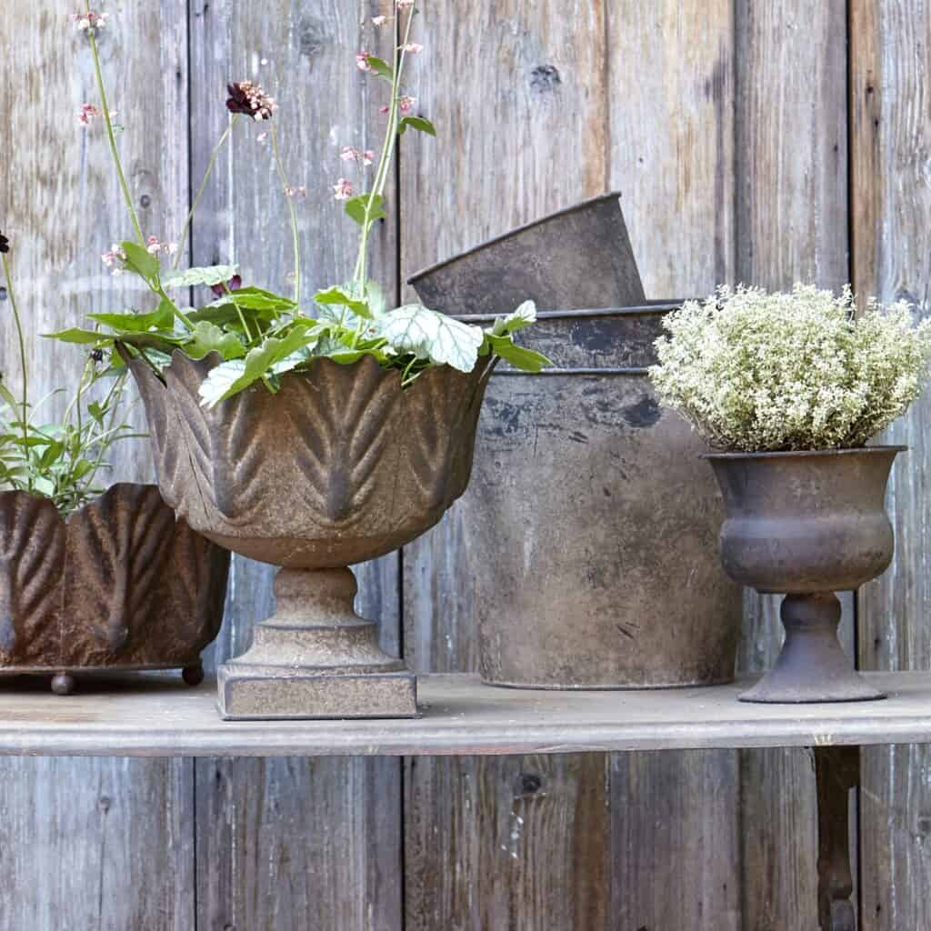 Pokal RAGNA - Wikholm form - Hemlängtan.com